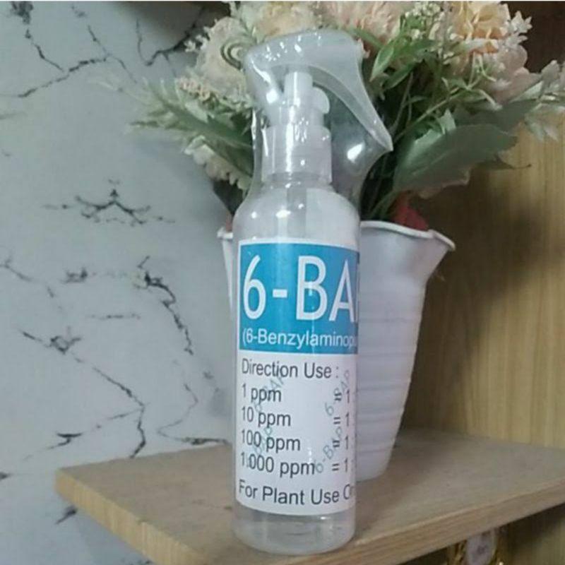 PROMO Hormon BAP BIRU 6 Anggrek BAP BENZYLAMINO 250ml - Shop | Tokopedia