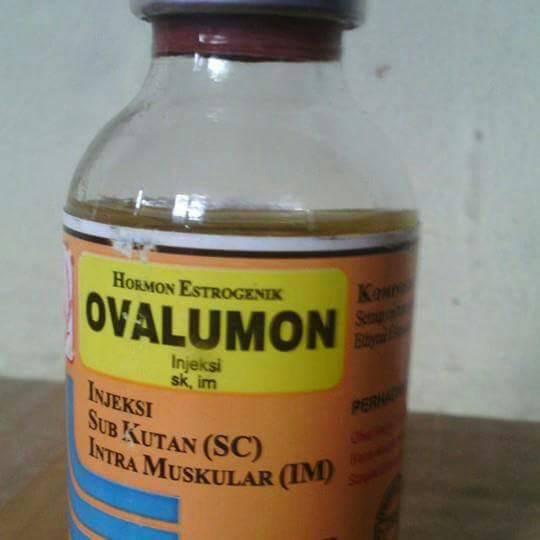 OVALUMON (HORMON ESTRADIOL) - Shop | Tokopedia