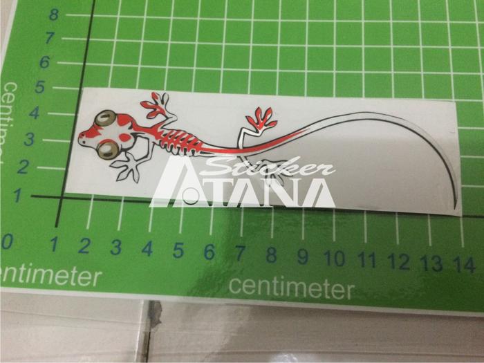 Jual Sticker Cutting Scotlite Gambar Rangka Cicak - Kota Pekalongan ...