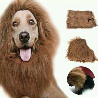 Cat / Dog Lion Wig Size M (Wig Singa untuk kucing / Anjing) - Shop ...