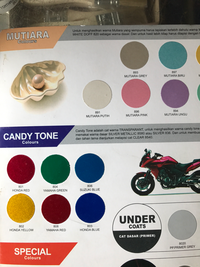 Jual Cat Semprot Diton Spray Paint 300cc Cat Semprot Serba Guna ...