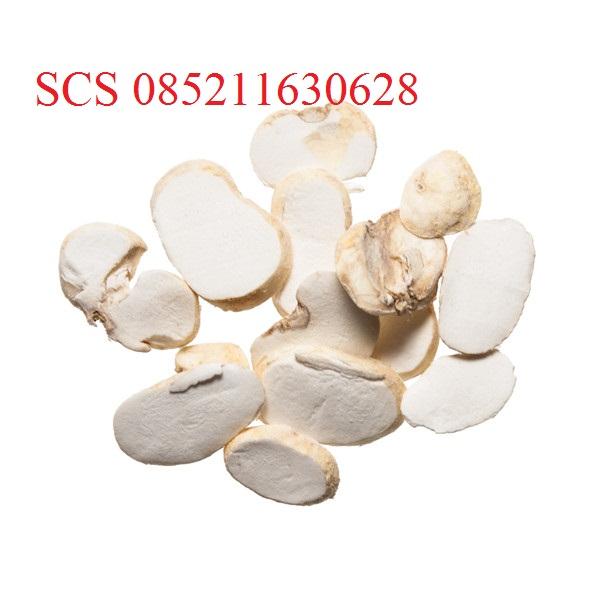 Jual Zhe Bei Mu Fritillaria thunbergii 600 gram - Jakarta Utara - Sinar ...