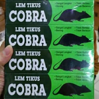 Lem Tikus Cobra kobra - Shop | Tokopedia