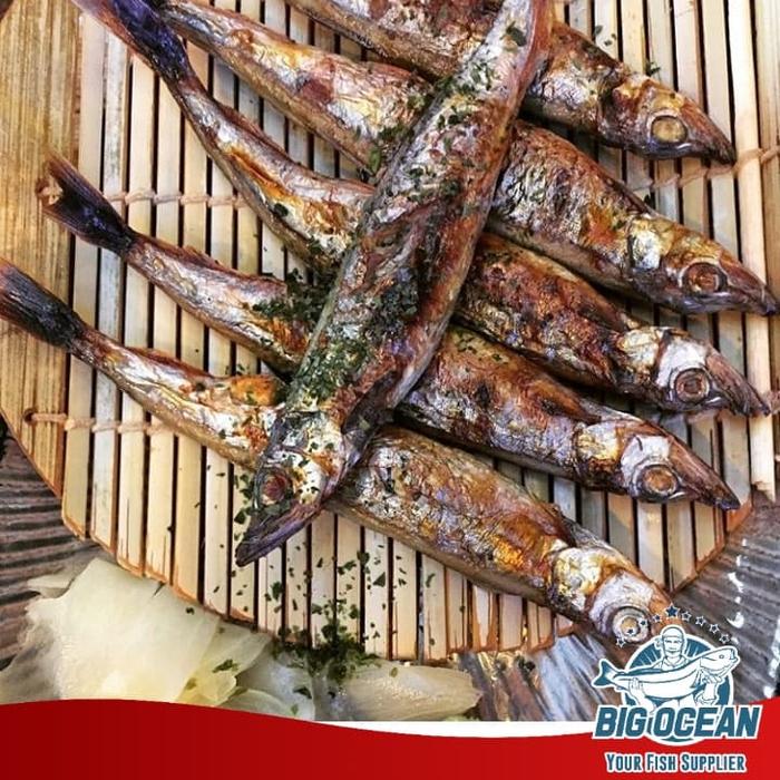Jual Ikan Shisamo jepang - Capelin ikan telor | Premium Quality ...