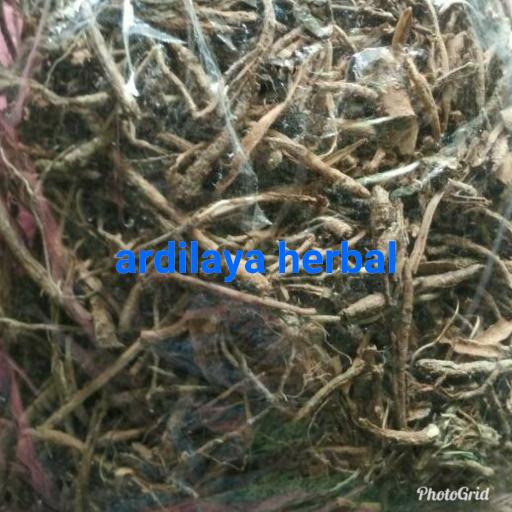 kayu rapet kering 1 kg - Shop | Tokopedia