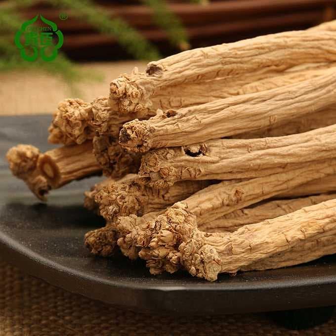 TongShem / DangShen / Codonopsis / TongSim Premium No.3 - Shop | Tokopedia