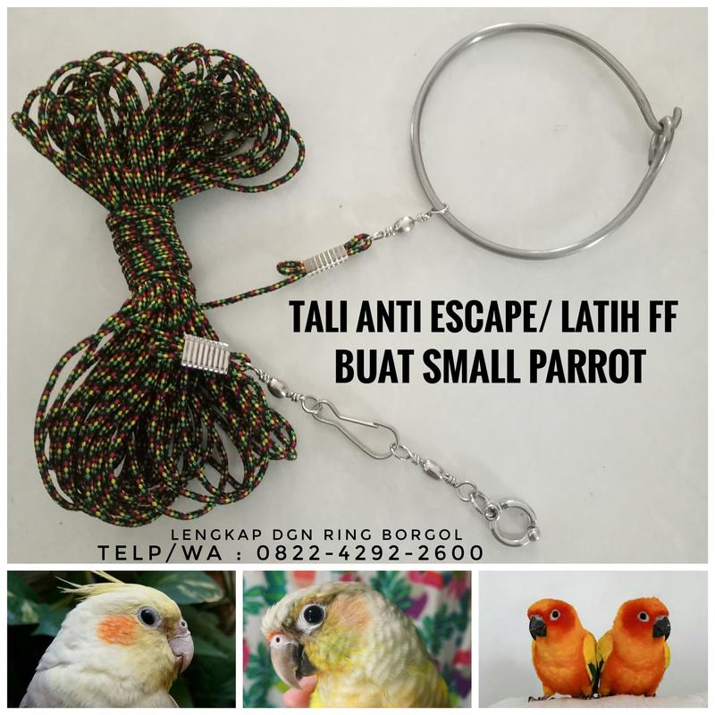 Jual Tali Anti Escape Latih FF Small Parrot - Shop | Tokopedia