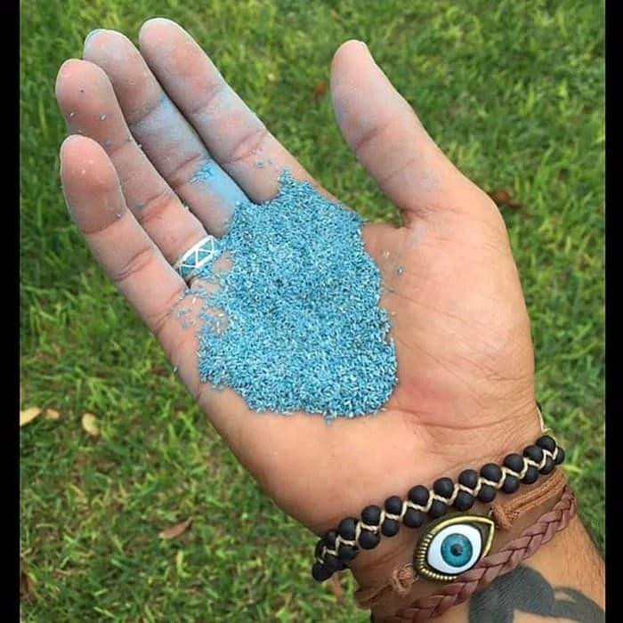 biji rumput bermuda grass - biji rumput lapangan golf - Shop | Tokopedia