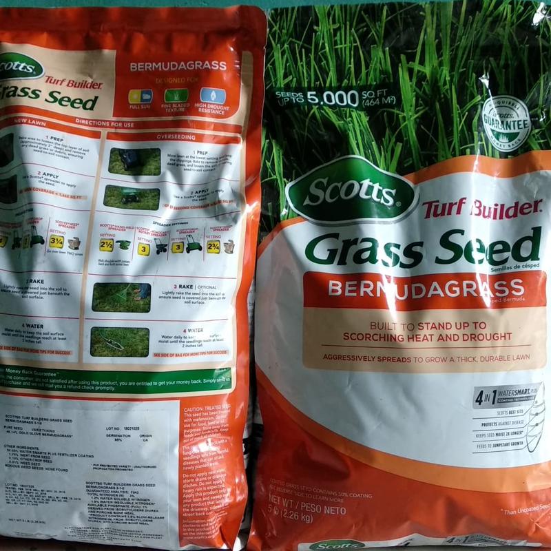 biji rumput bermuda grass - biji rumput lapangan golf - Shop | Tokopedia