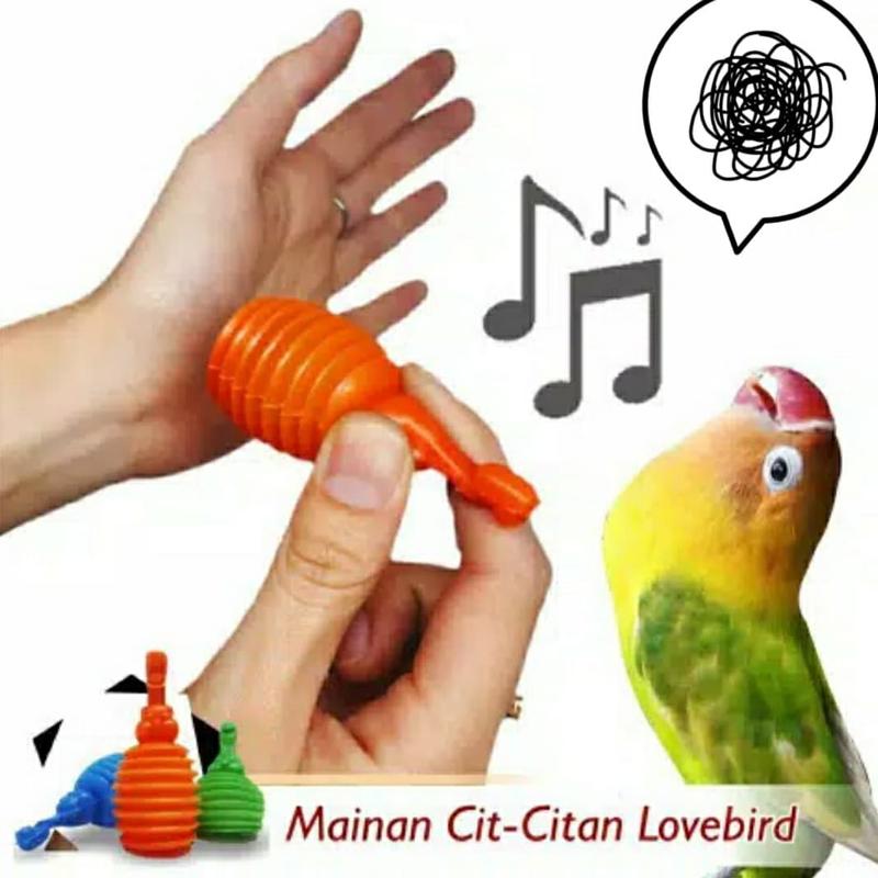 Mainan cit-citan Lovebird - Shop | Tokopedia
