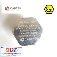 Jual CABTEK Exproof Stopping Plug HSP M20 Stainless Steel SS316 c/w ...