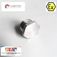 Jual CABTEK Exproof Stopping Plug HSP M20 Stainless Steel SS316 c/w ...