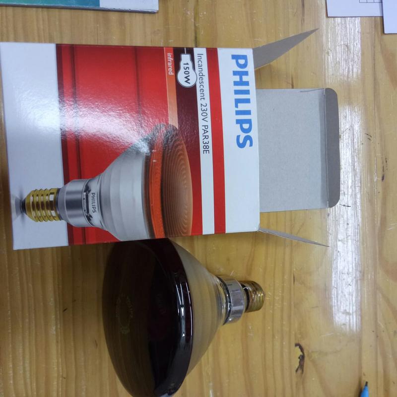 Lampu terapi infrared infraphil 150w 150 watt philips - Shop | Tokopedia