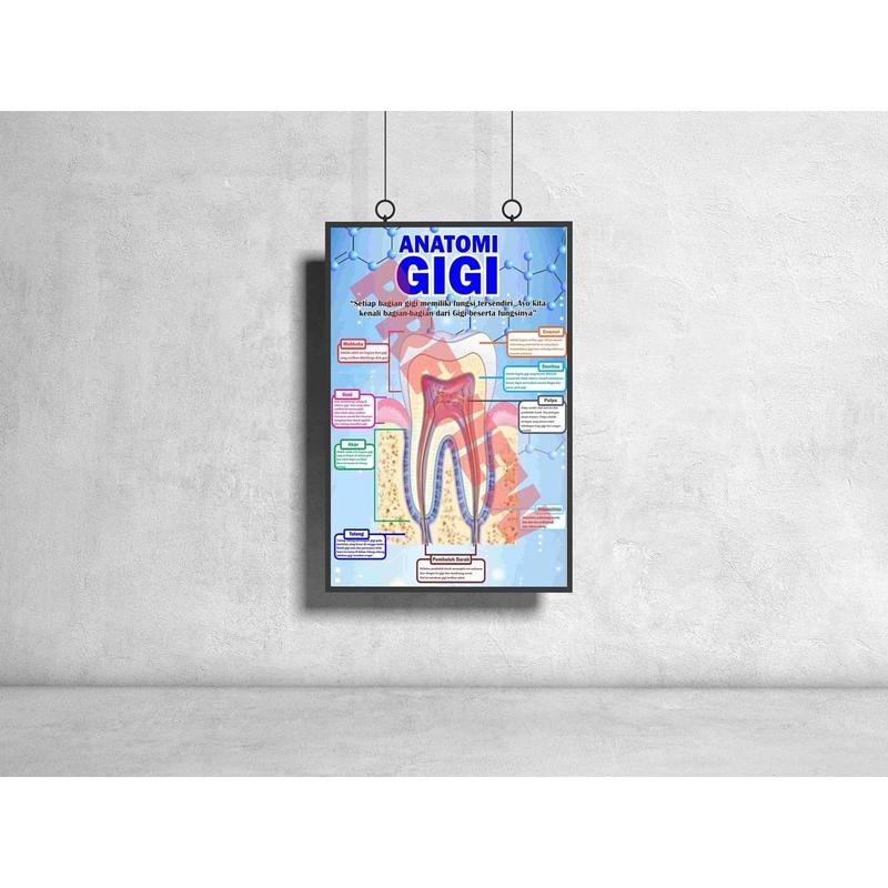 Poster Kesehatan Anatomi Gigi (bisa nambah nama instansi) - Shop ...