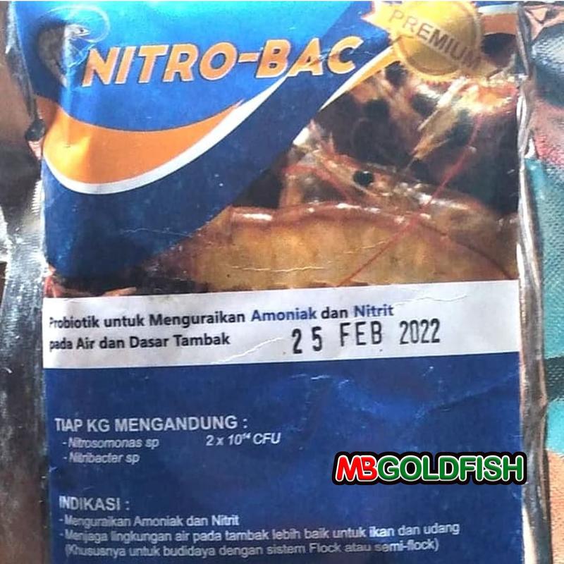 PROBIOTIK BAKTERI, Bacteri Starter Nitrobacter Nitrosomonas Nitrobac ...