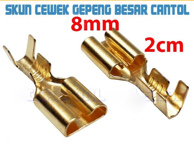 Skun Gepeng 8mm Cewek Female Kecil / Soket / Skun Motor / Skun - Shop ...