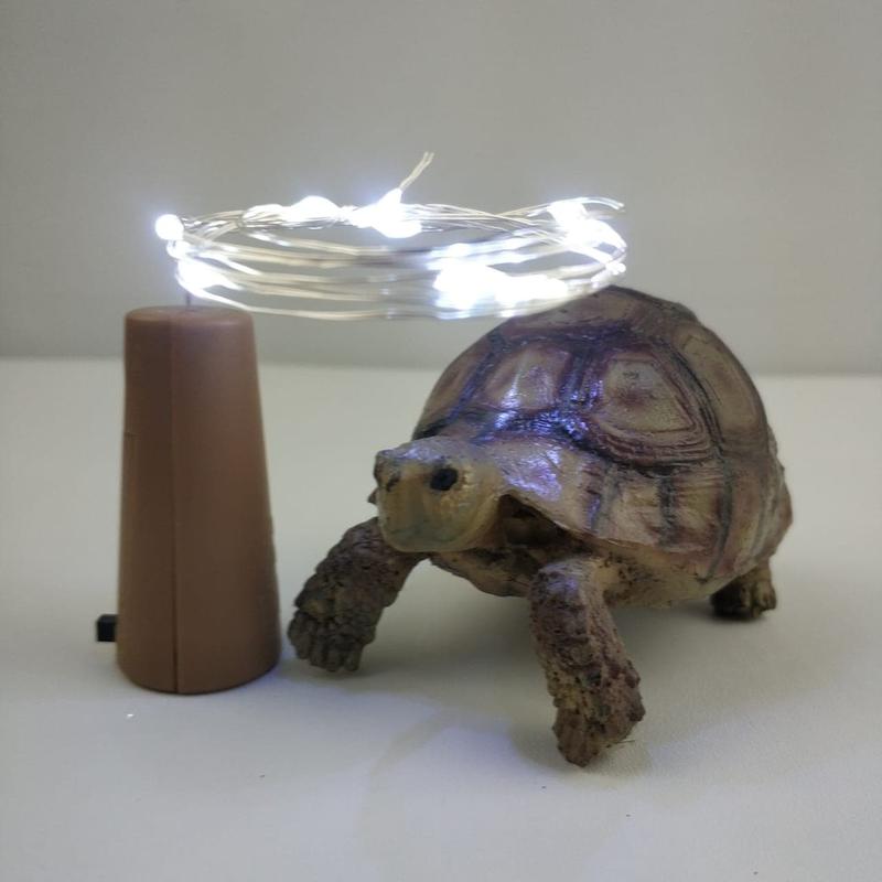 lampu peri tutup botol 1m 10 led putih - Shop | Tokopedia