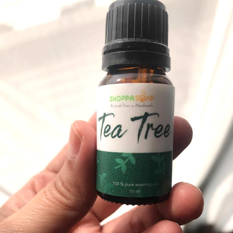 TEA TREE Essential Oil - Shop | Tokopedia