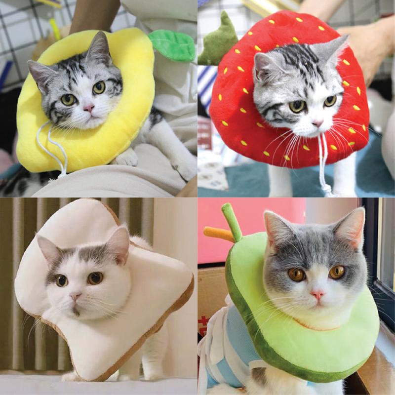 Corong Penutup Kucing Cone Protection Pelindung Leher Kucing - Shop ...