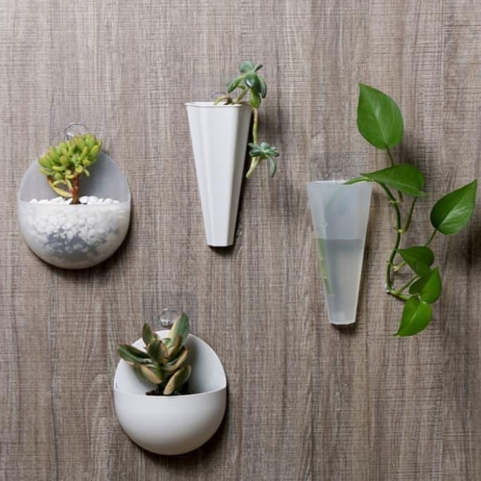 Pot bunga tempel tembok - Shop | Tokopedia