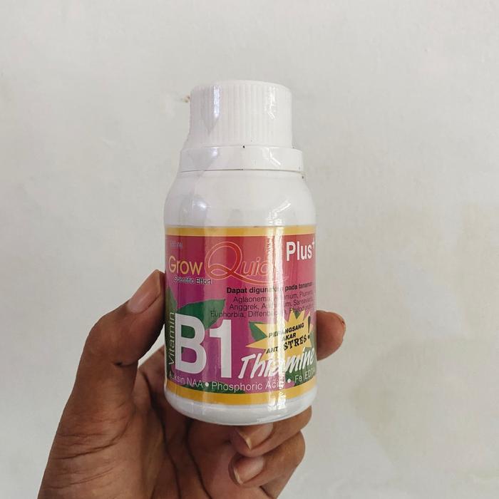 Jual Vitamin B1 plus grow quick 100 ml anti stress merangsang akar ...