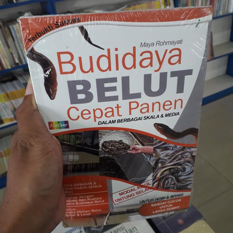 BUKU BUDIDAYA BELUT CEPAT PANEN FULL COLOR - MAYA ROHMAYATI - Shop ...
